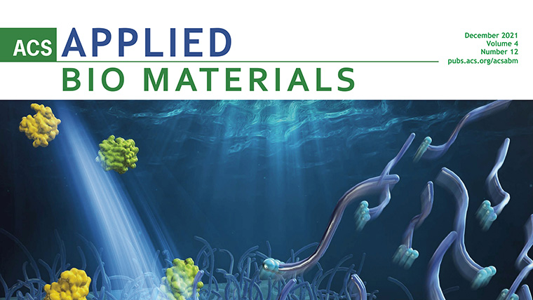 本学教員による学術論文がACS Applied Bio Materials誌のFront Coverに選出｜東京理科大学