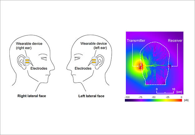 All in Your Head: Exploring Human-Body Communications with Binaural ...