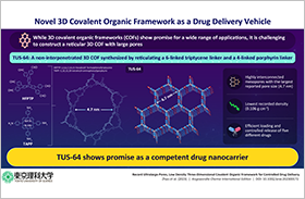 Towards a Novel 3D Covalent Organic Framework With Record Large Pores ...