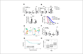 Study Unravels Pathophysiological Role of Dectin-1 in Promoting ...