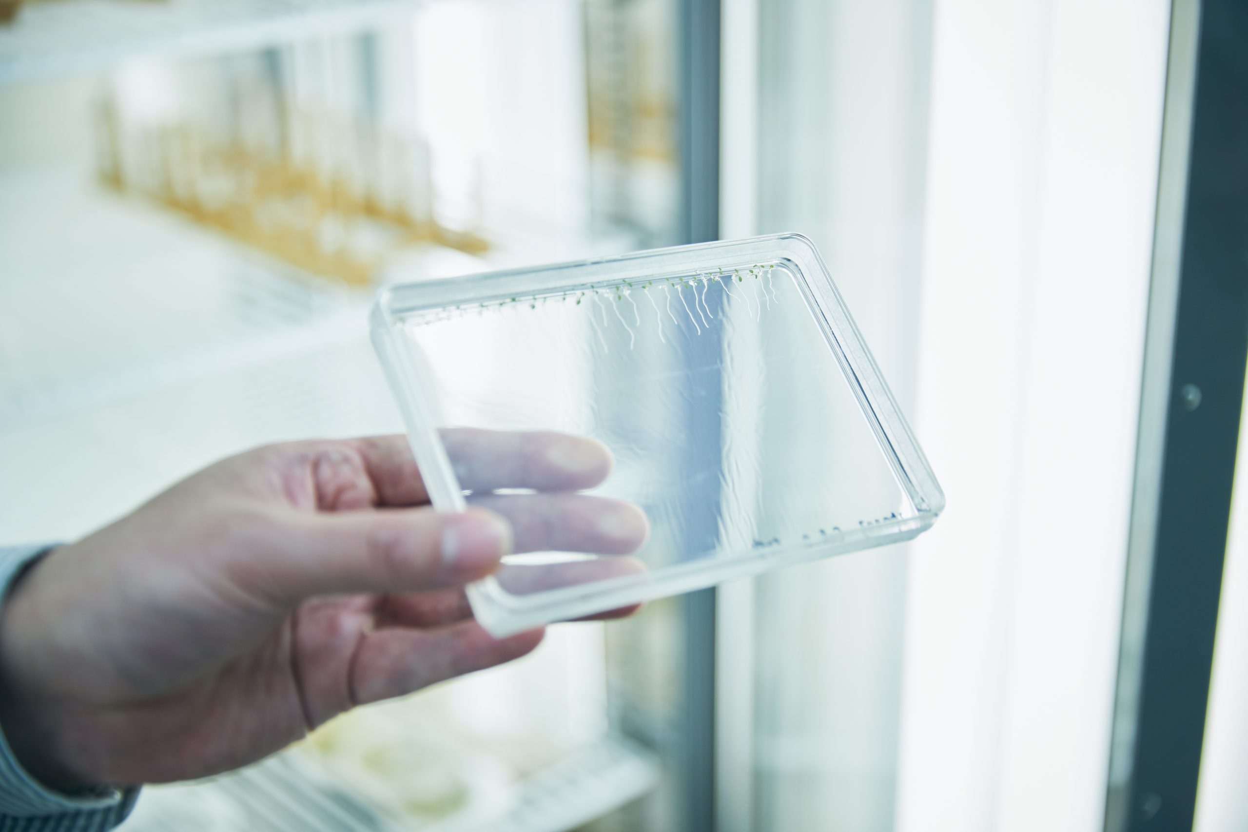 A diversity of research to protect the abundance of our environment and ...