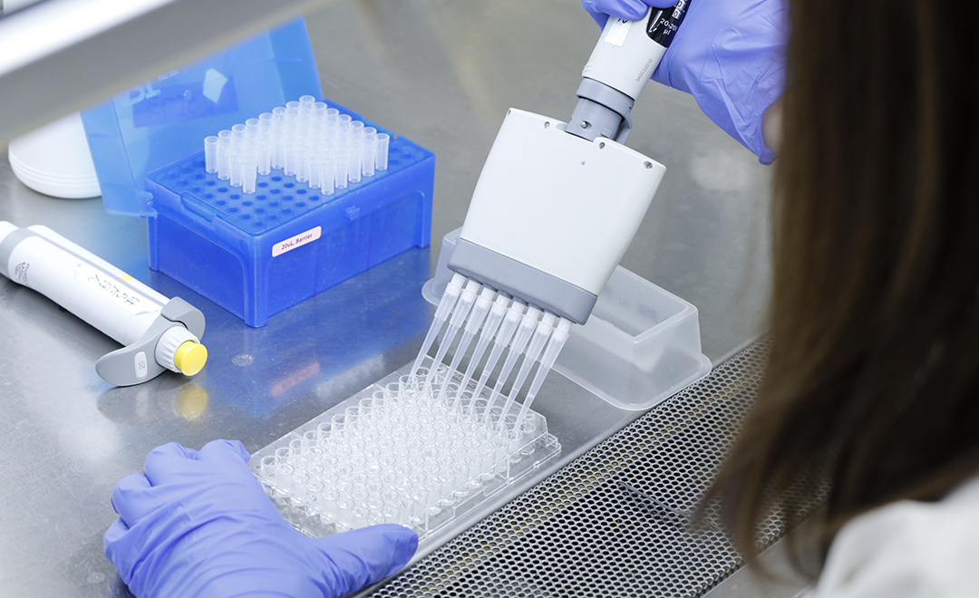 Deciphering the links between plants and organisms and the environment ...